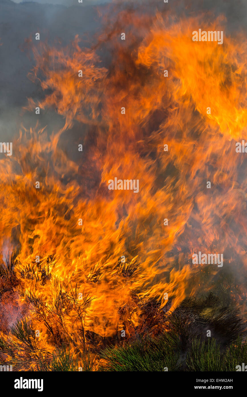 Burn beating hi-res stock photography and images - Alamy