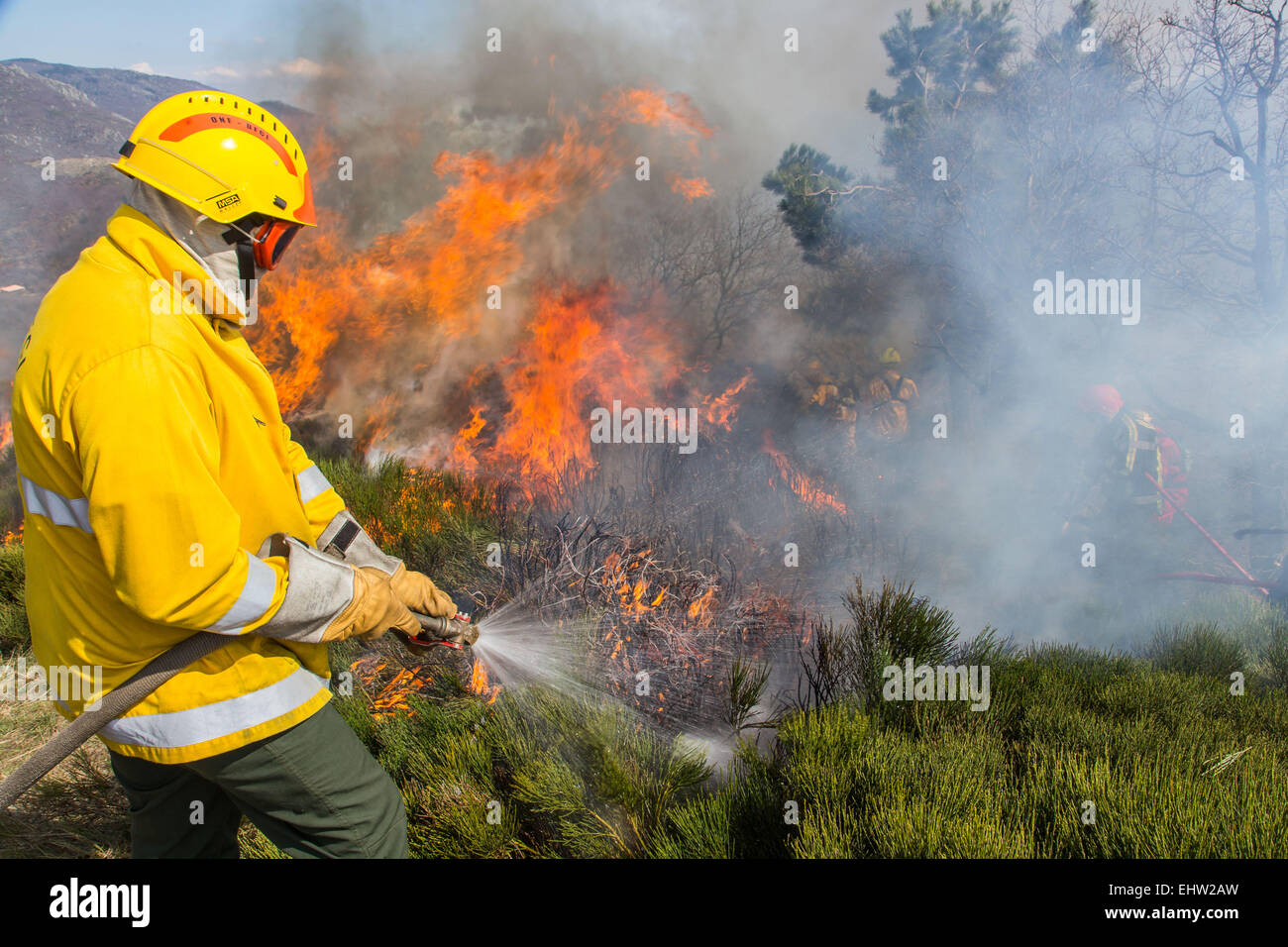 Shrub burning hi-res stock photography and images - Alamy