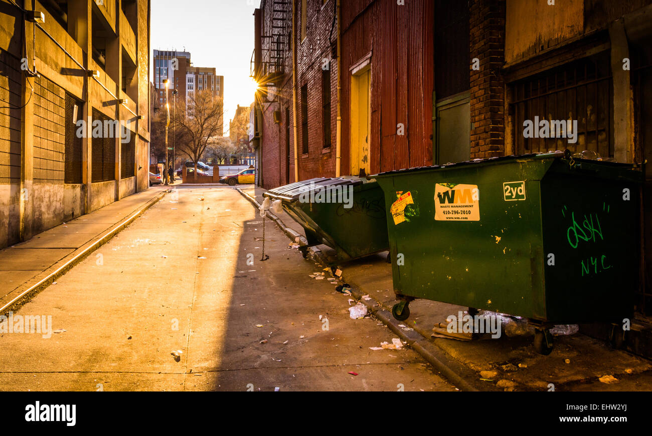 Alley Cat Garbage Maryland