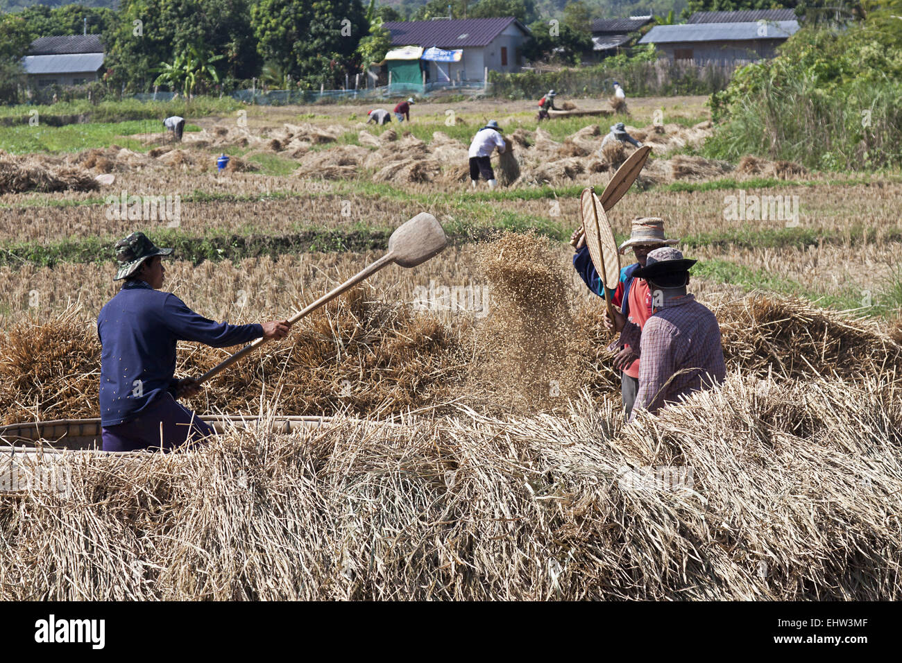 Harvest assistant hi-res stock photography and images - Alamy