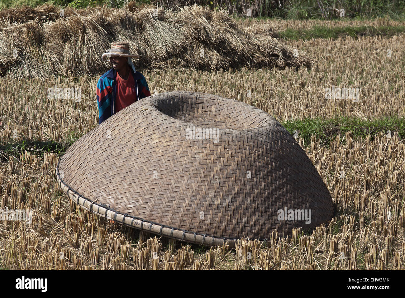 Harvest gr hi-res stock photography and images - Alamy