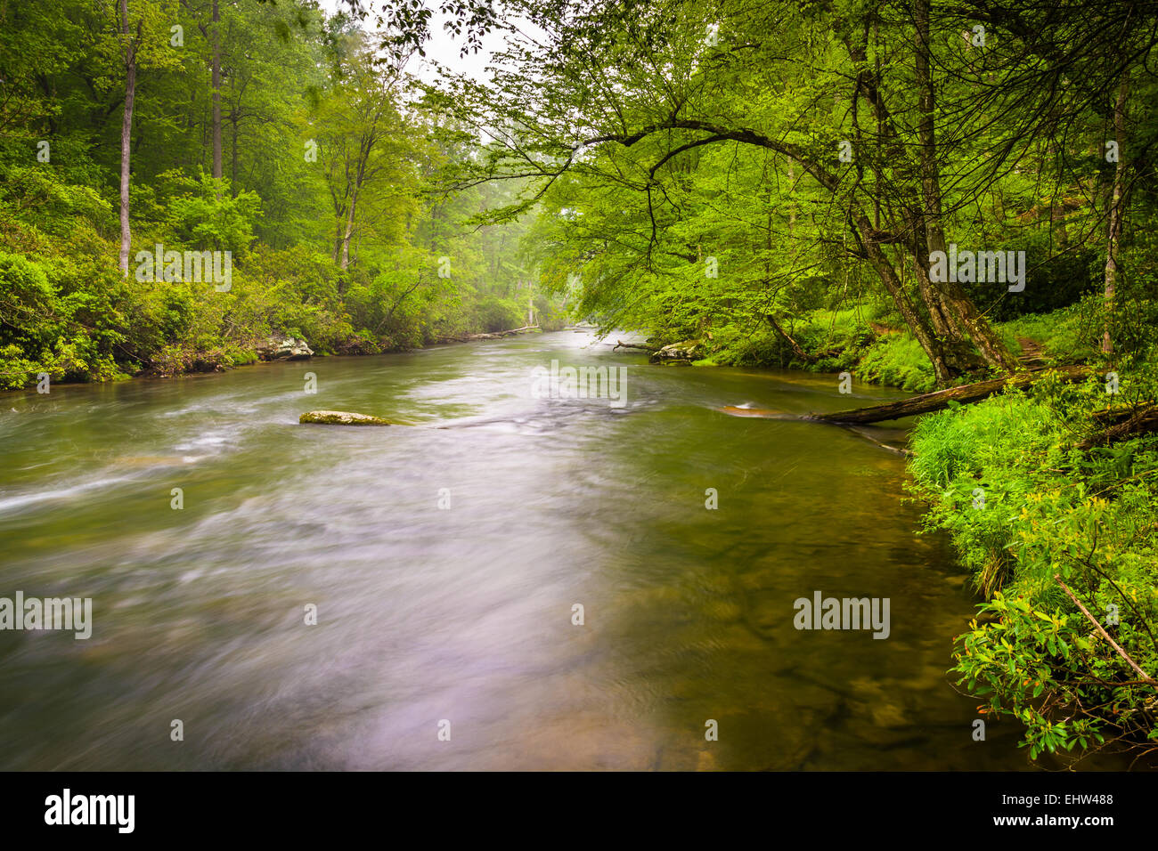 Prettyboy reservoir park hi-res stock photography and images - Alamy