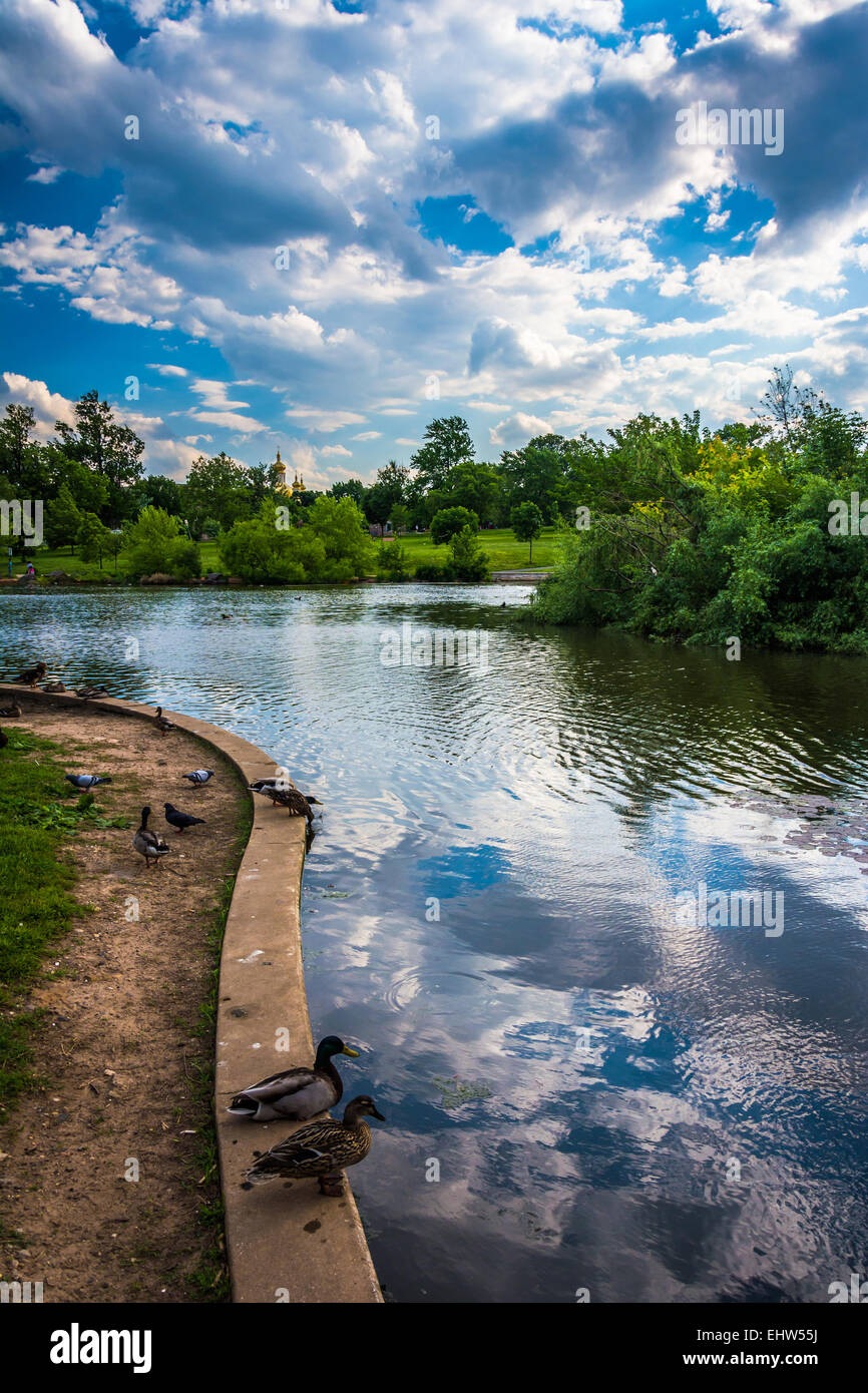 The pond at Patterson Park in Baltimore, Maryland Stock Photo - Alamy