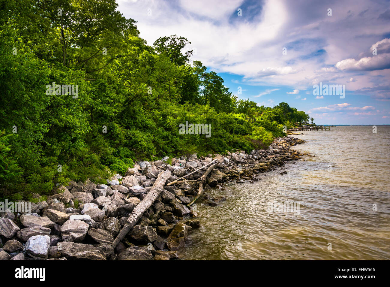 Chesapeake bay landscape hi-res stock photography and images - Alamy