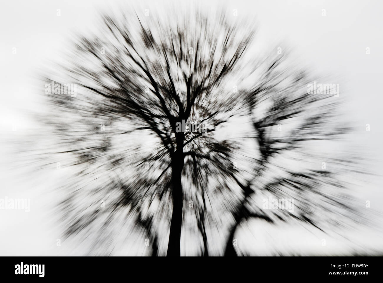 Log effect hi-res stock photography and images - Alamy