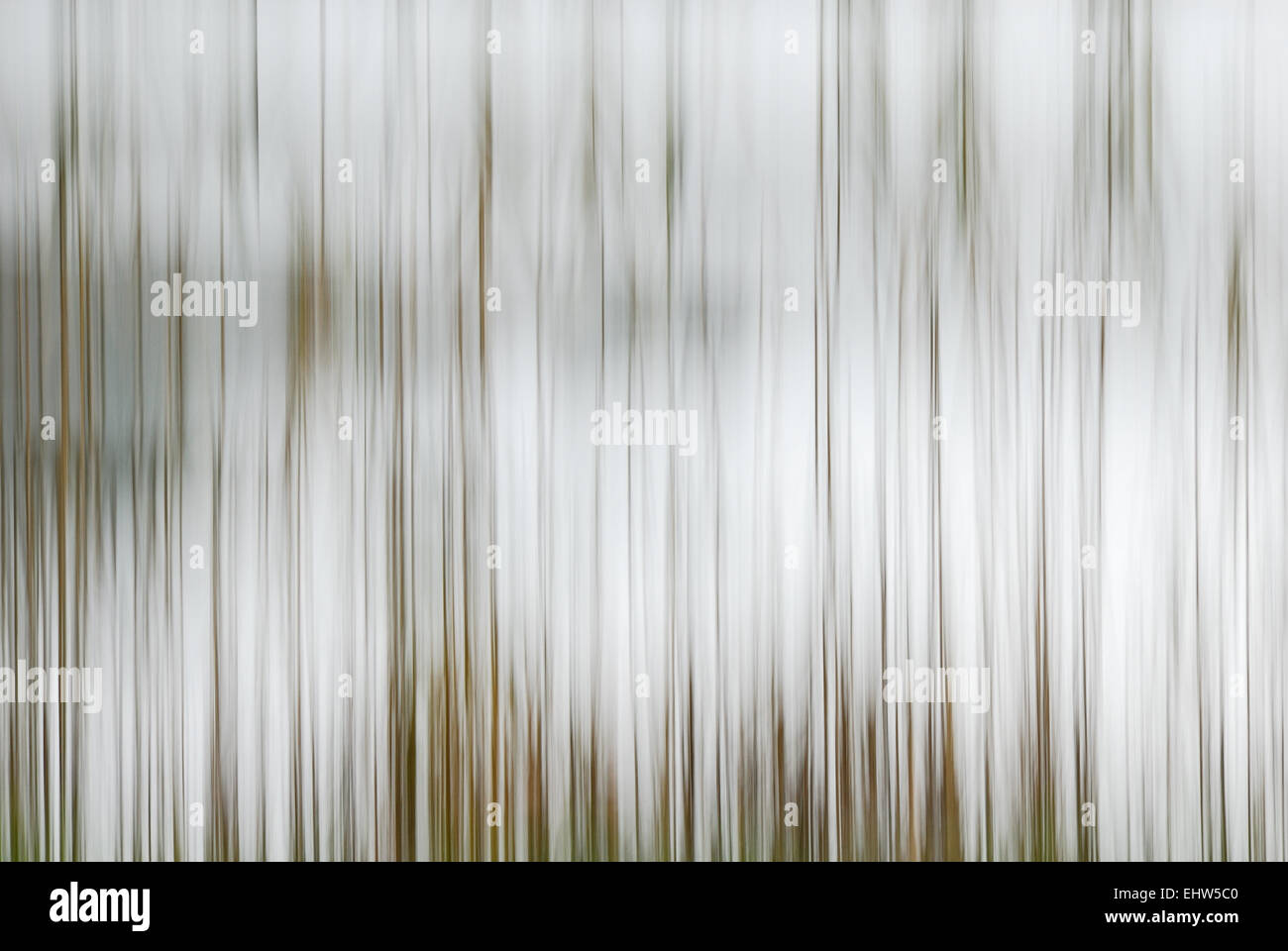 Reed structure hi-res stock photography and images - Alamy