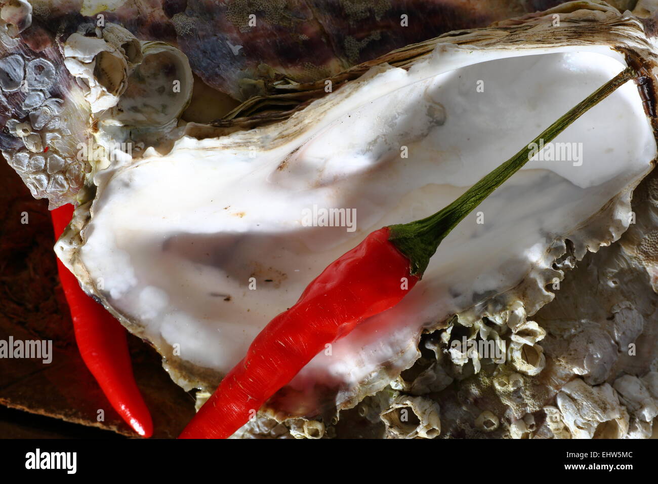 Peppers and oyster shell Stock Photo - Alamy