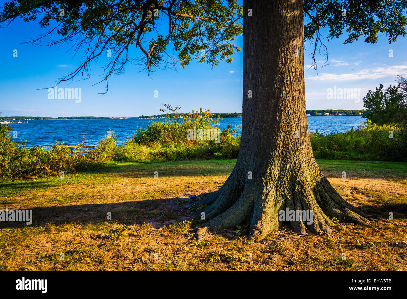 Back river hi-res stock photography and images - Alamy