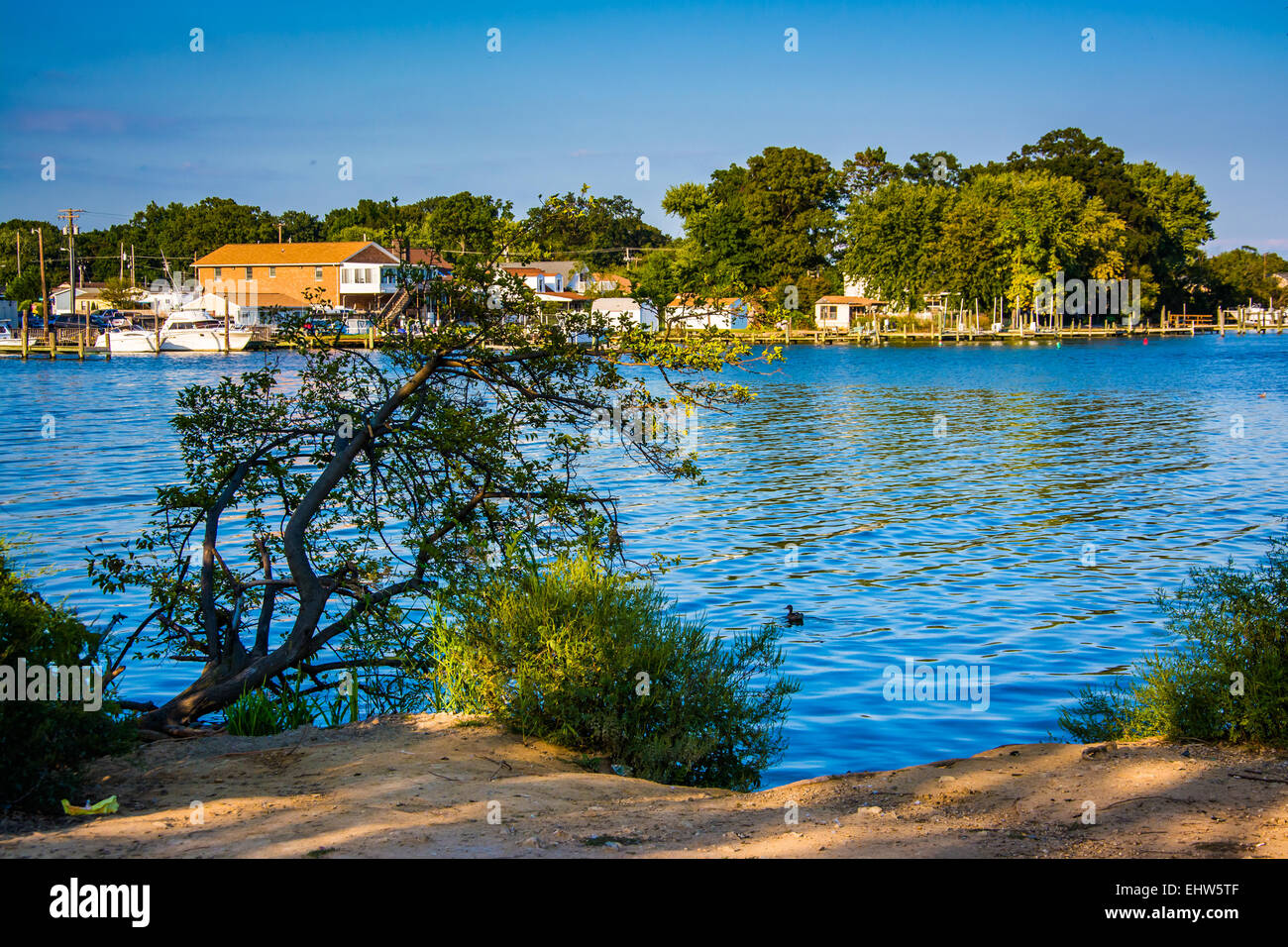 Essex scenery hi-res stock photography and images - Alamy