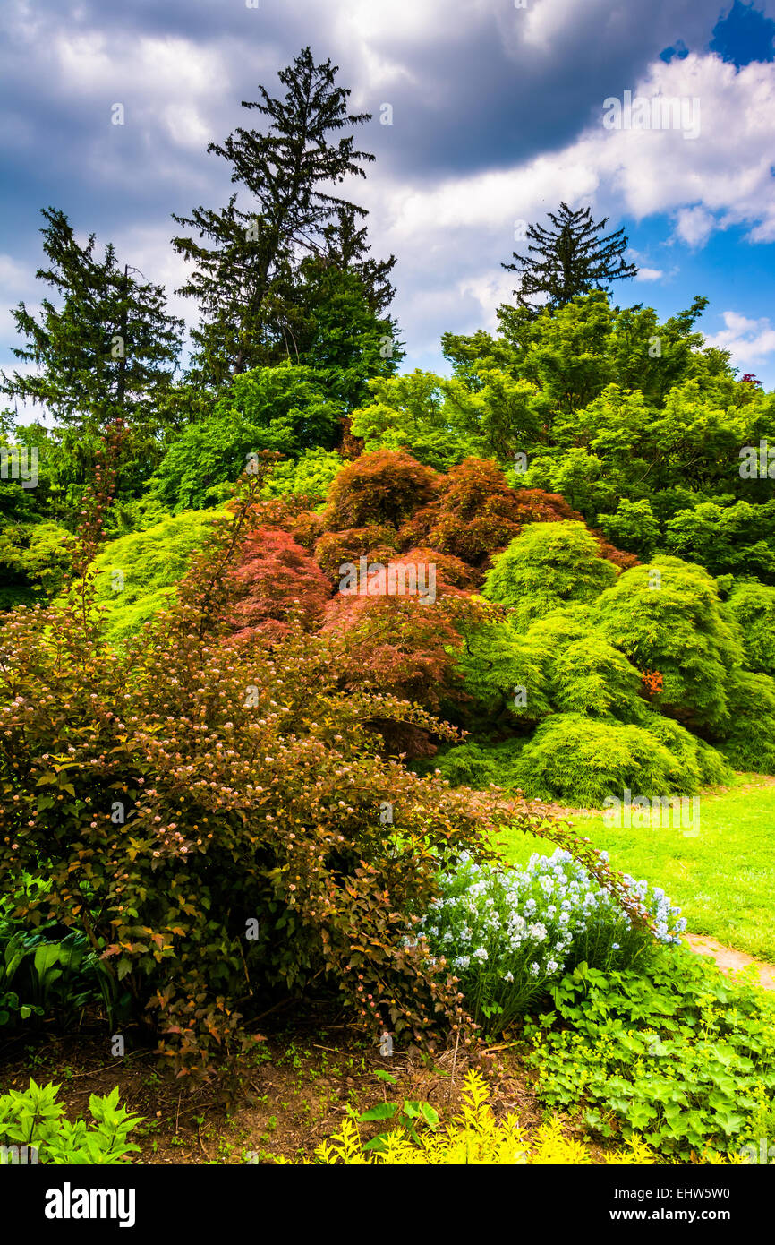 Baltimore Arboretum High Resolution Stock Photography and Images - Alamy