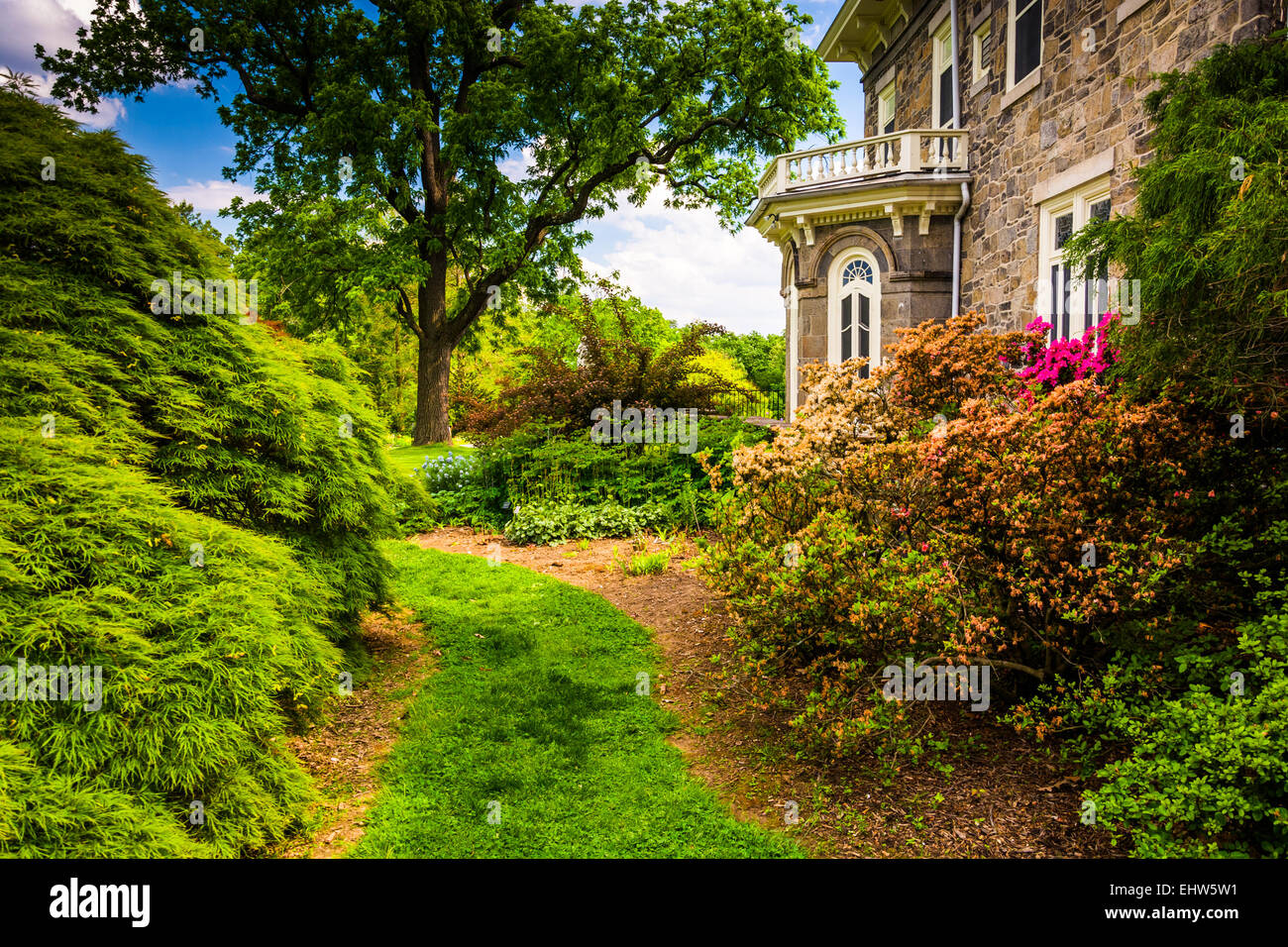 Trees and bushes behind the Cylburn Mansion at Cylburn Arboretum ...