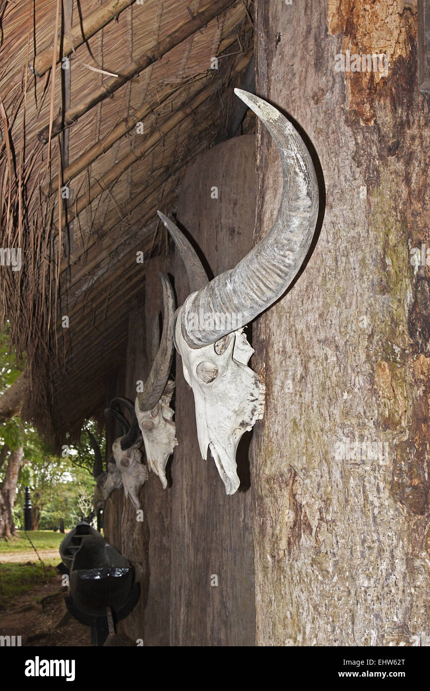 Black temple hi-res stock photography and images - Alamy