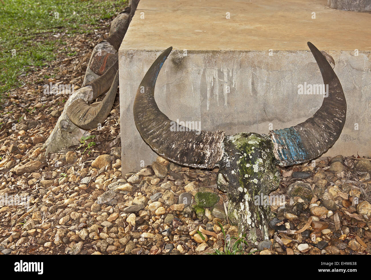 Black temple hi-res stock photography and images - Alamy