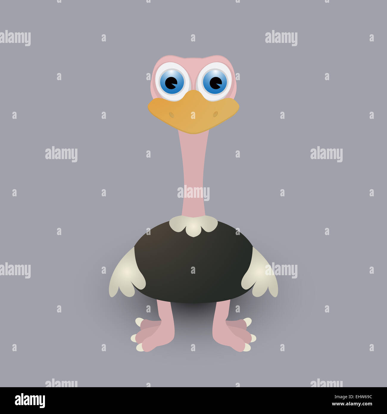Cute baby ostrich Stock Photo - Alamy