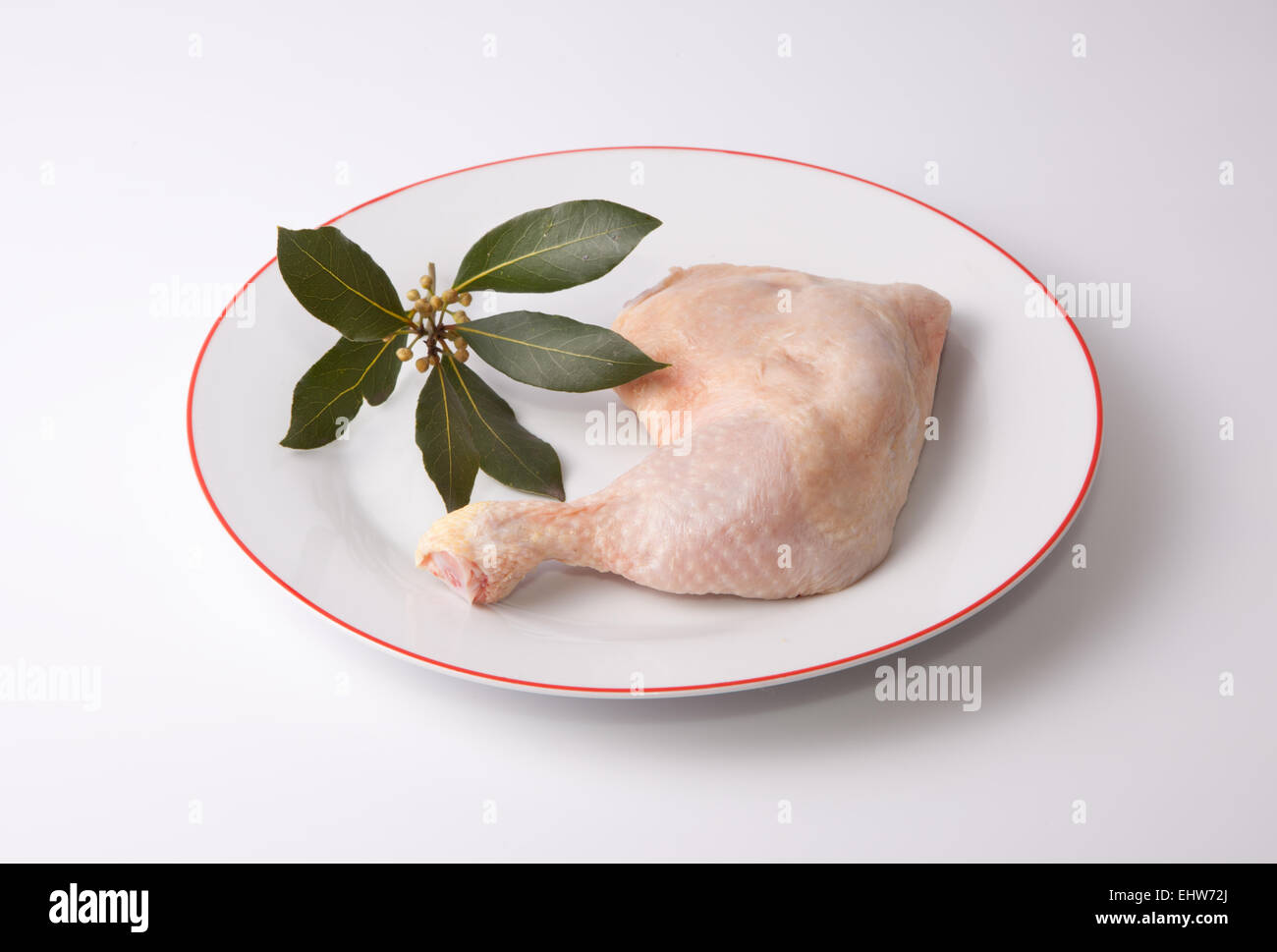 Chicken leg with bay branch isolated over white background Stock Photo ...