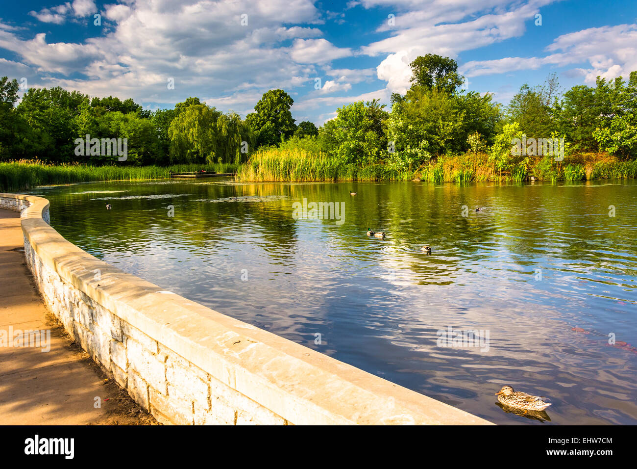 Walkway along a pond at Patterson Park, Baltimore, Maryland Stock Photo ...