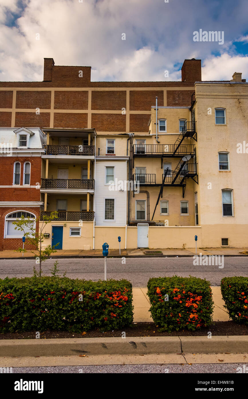 Bushes along a sidewalk and old buildings in Baltimore, Maryland Stock ...