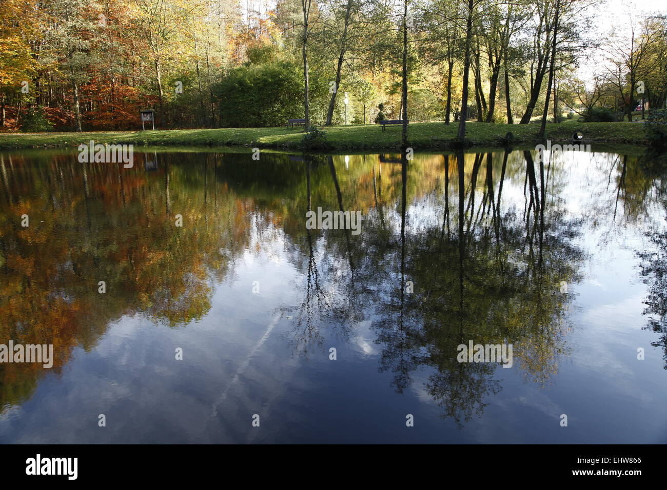 Pond landscape in autumn, Bad Iburg, Germany Stock Photo - Alamy
