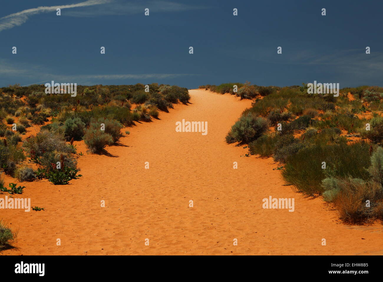 Sandy soil united states hi-res stock photography and images - Alamy