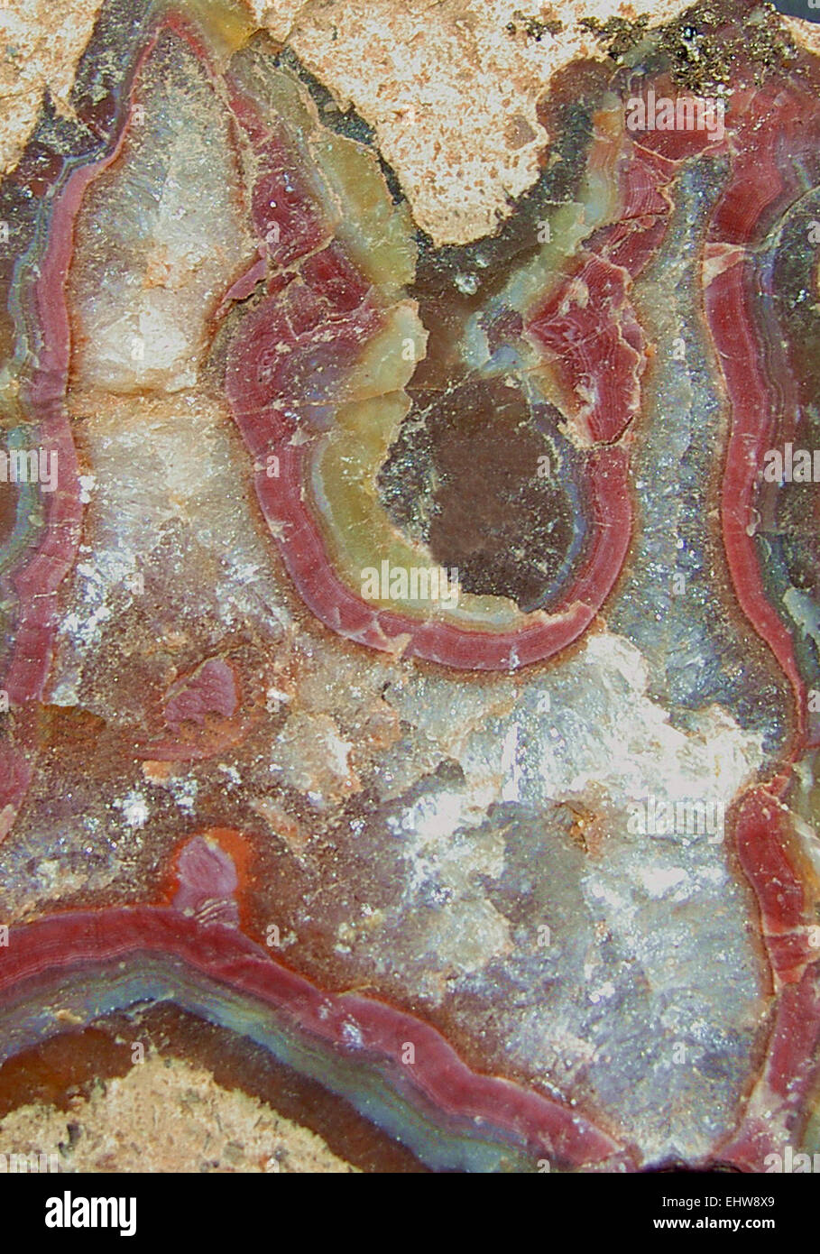 Agate slab hi-res stock photography and images - Alamy