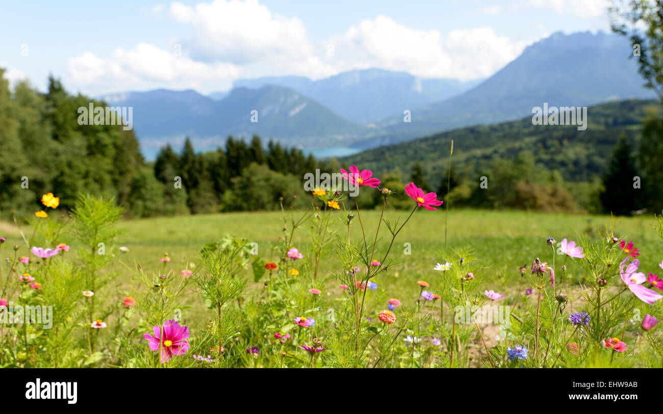 mountain landscape on the edges of Lake Annecy Stock Photo - Alamy