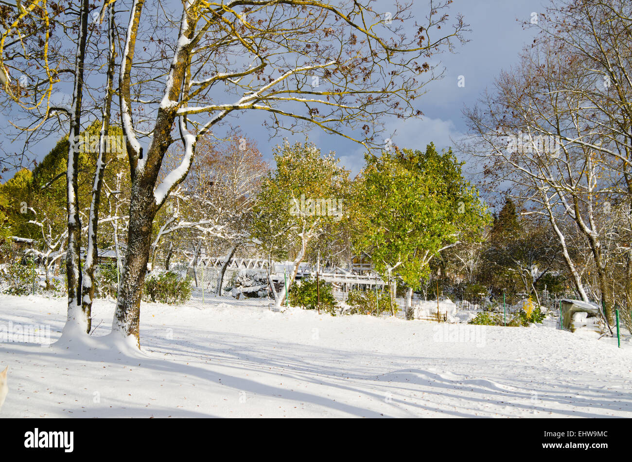 Walking after snow storm hi-res stock photography and images - Alamy