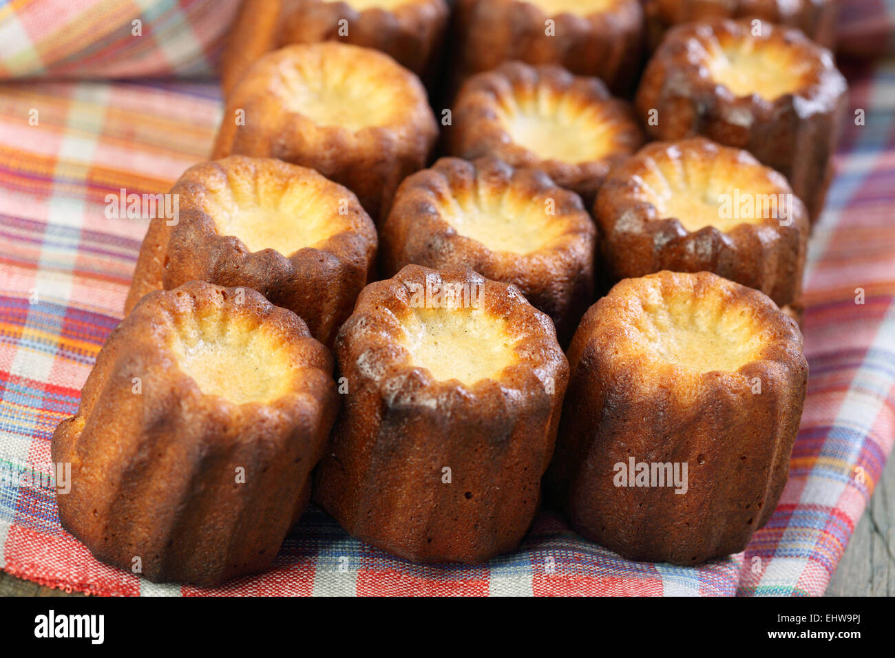 Bordeaux Canelo closeup Stock Photo - Alamy
