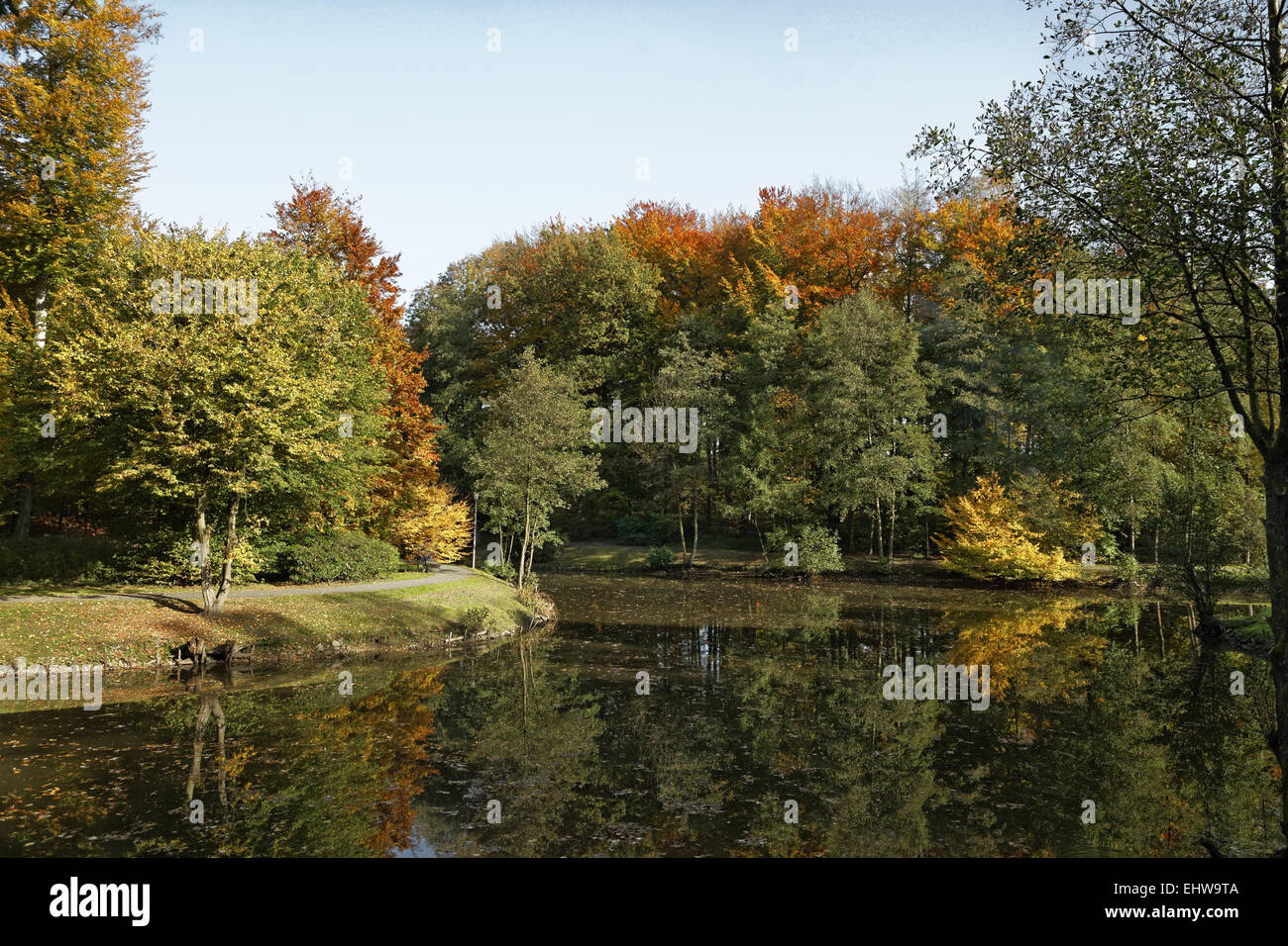 Pond landscape in autumn, Bad Iburg, Germany Stock Photo - Alamy