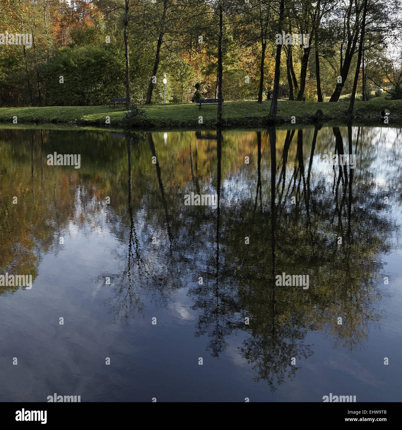 Pond landscape in autumn, Bad Iburg, Germany Stock Photo - Alamy