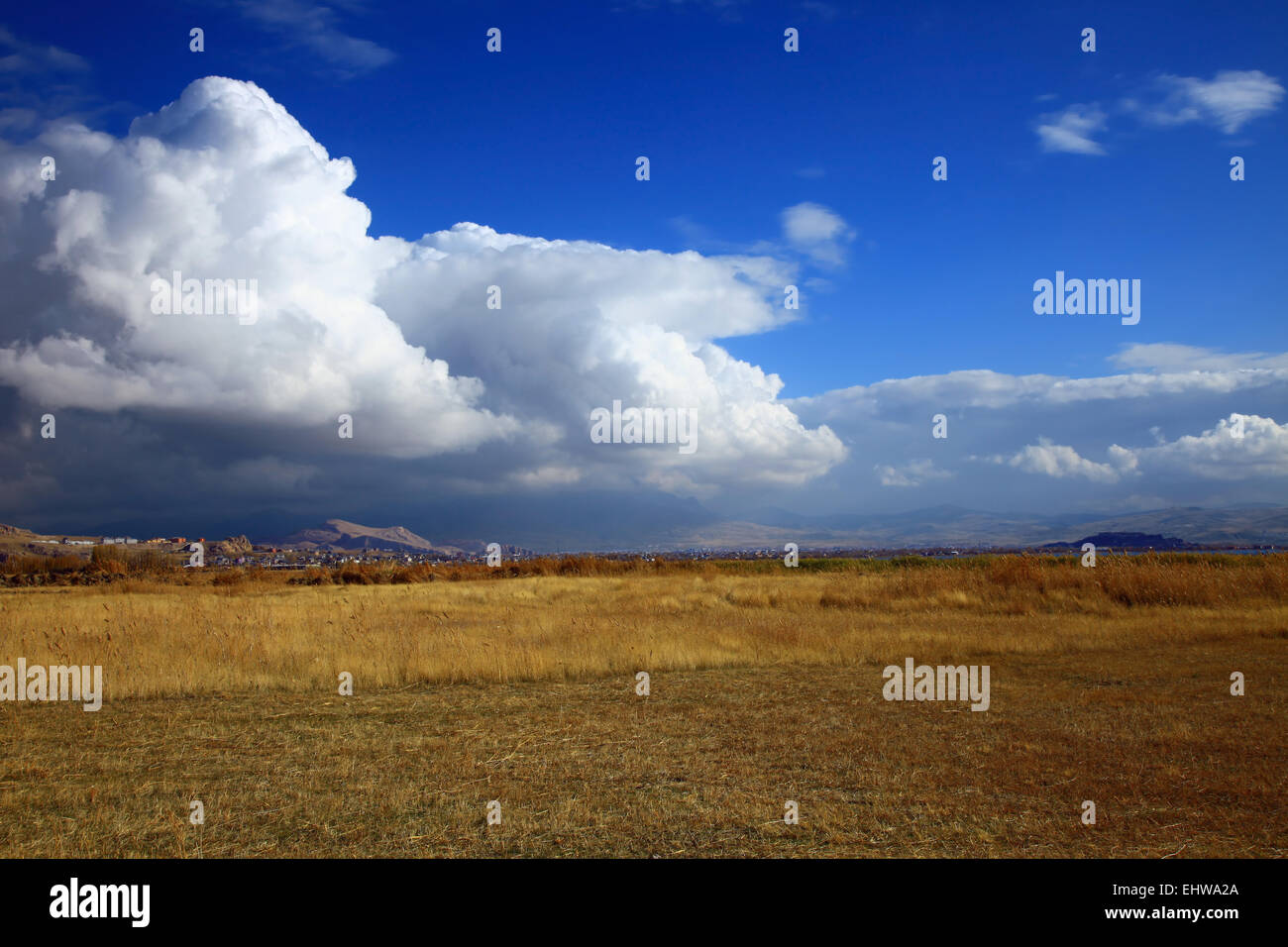 Coast of the Van Lake Stock Photo - Alamy