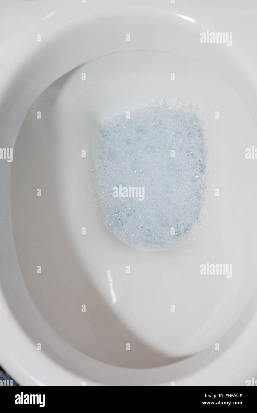 toilet bowl closeup blue water Stock Photo - Alamy