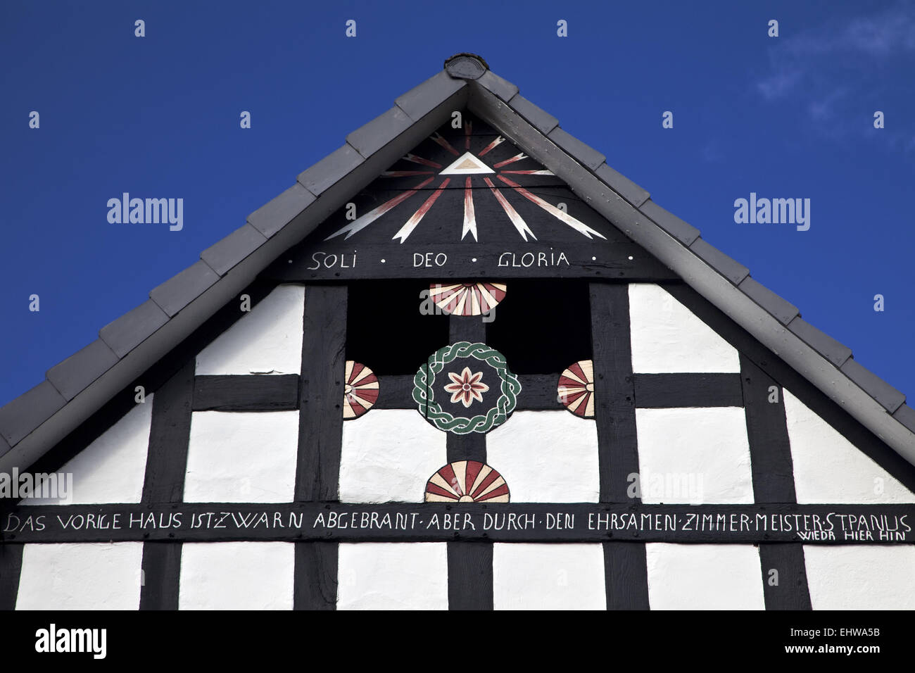 Half detail hi-res stock photography and images - Alamy