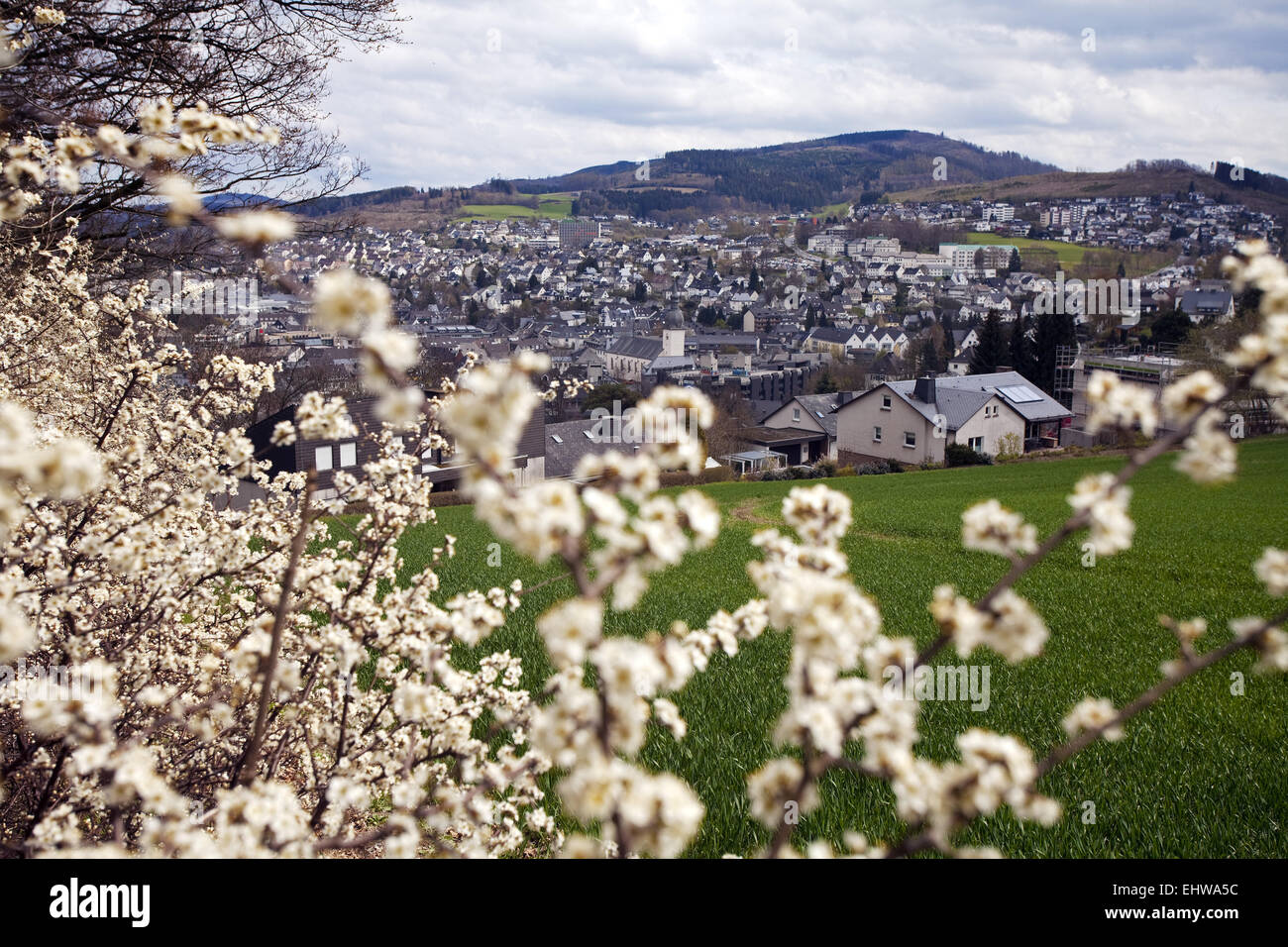 From hedge hi-res stock photography and images - Alamy