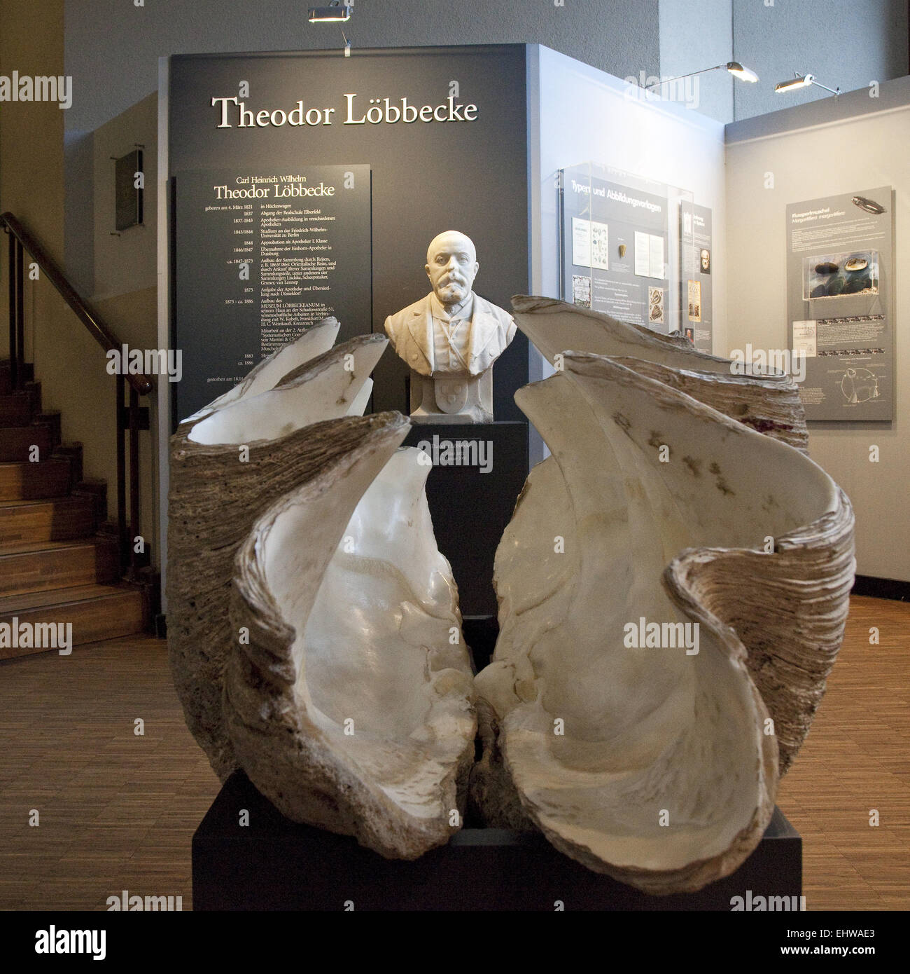 Becke High Resolution Stock Photography and Images - Alamy