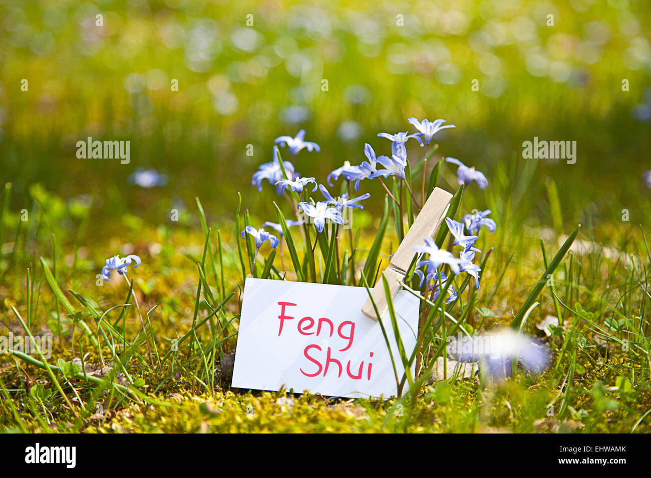 „Feng Shui with spring flowers Stock Photo - Alamy