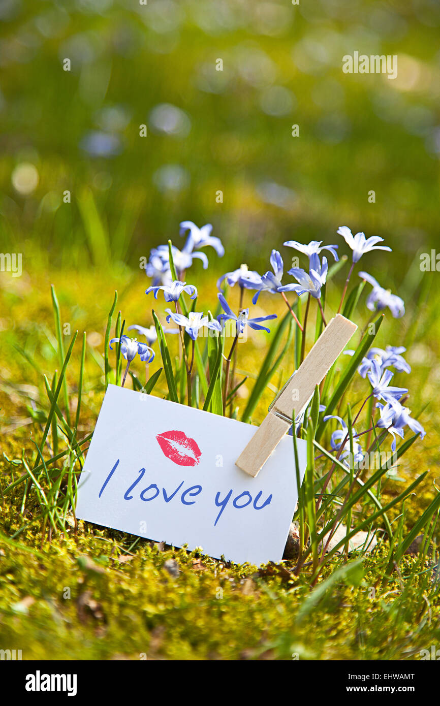 The words I love you with spring flowers Stock Photo - Alamy