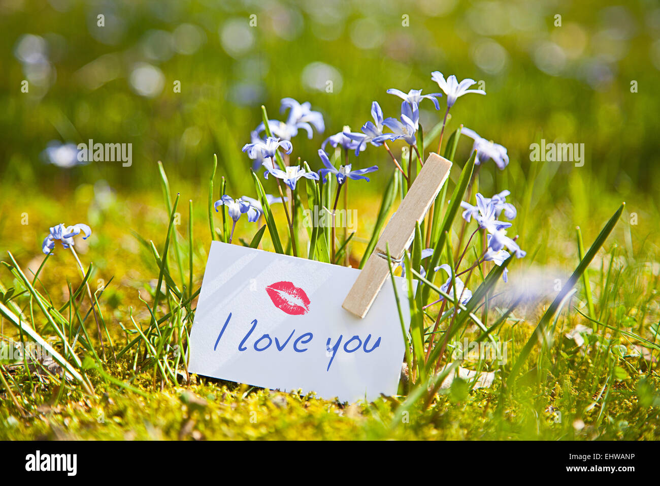 The words I love you with spring flowers Stock Photo - Alamy