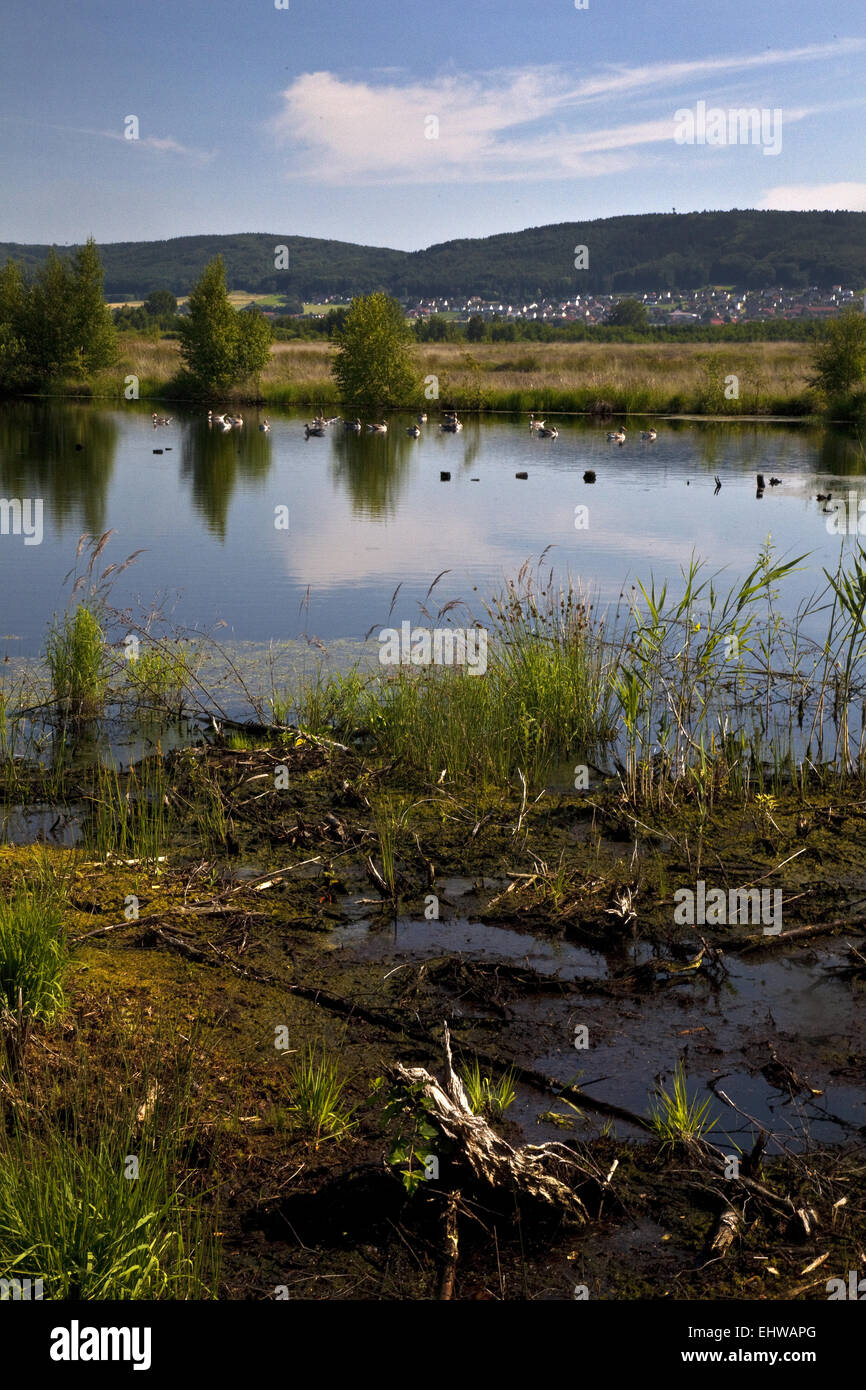 The large peat bog in Luebbecke in Germany Stock Photo - Alamy