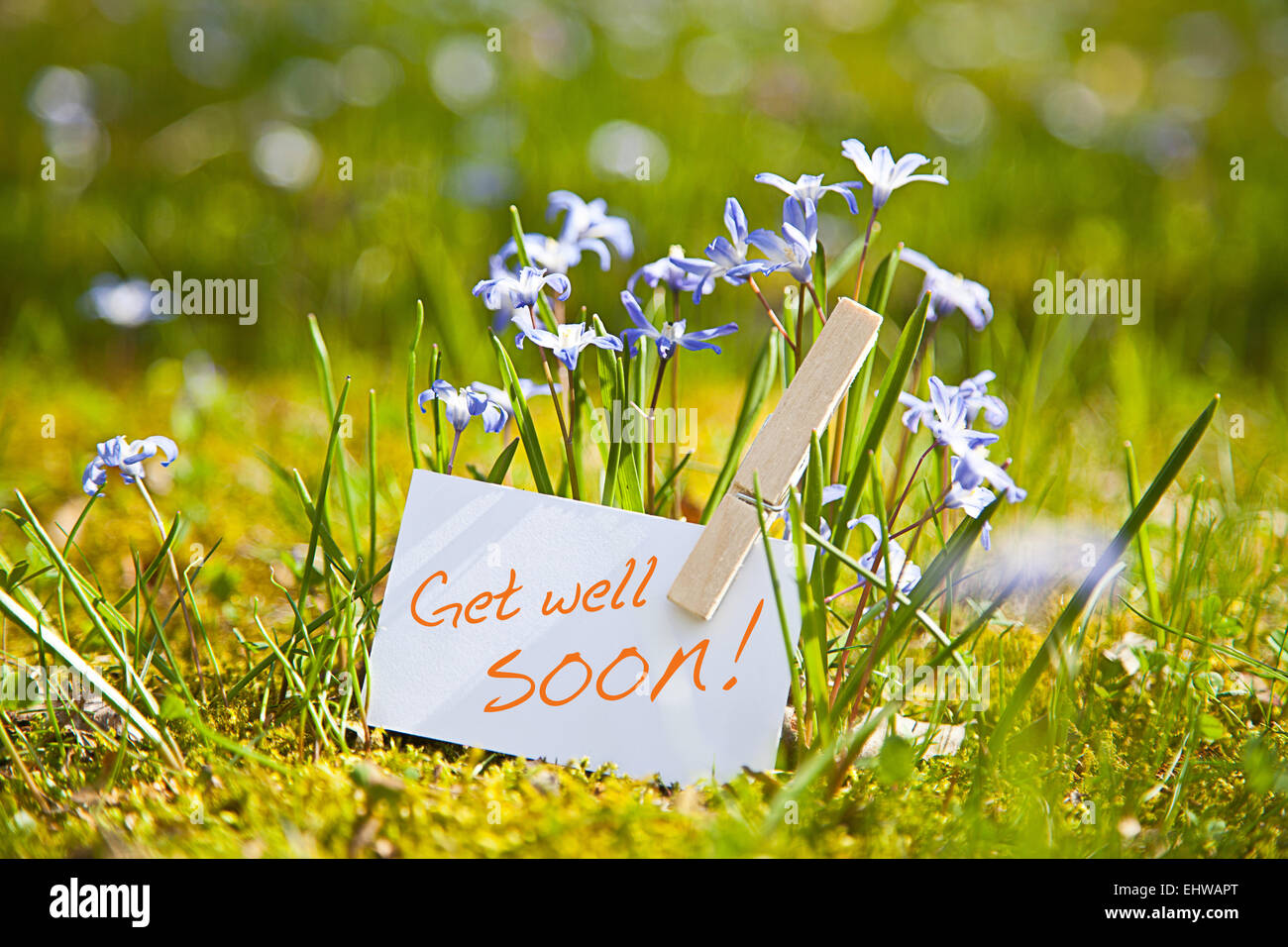 „Get well soon! with spring flowers Stock Photo - Alamy