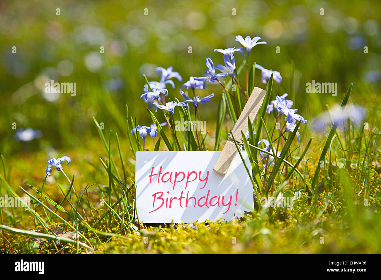 Happy birthday spring flowers hi-res stock photography and images - Alamy