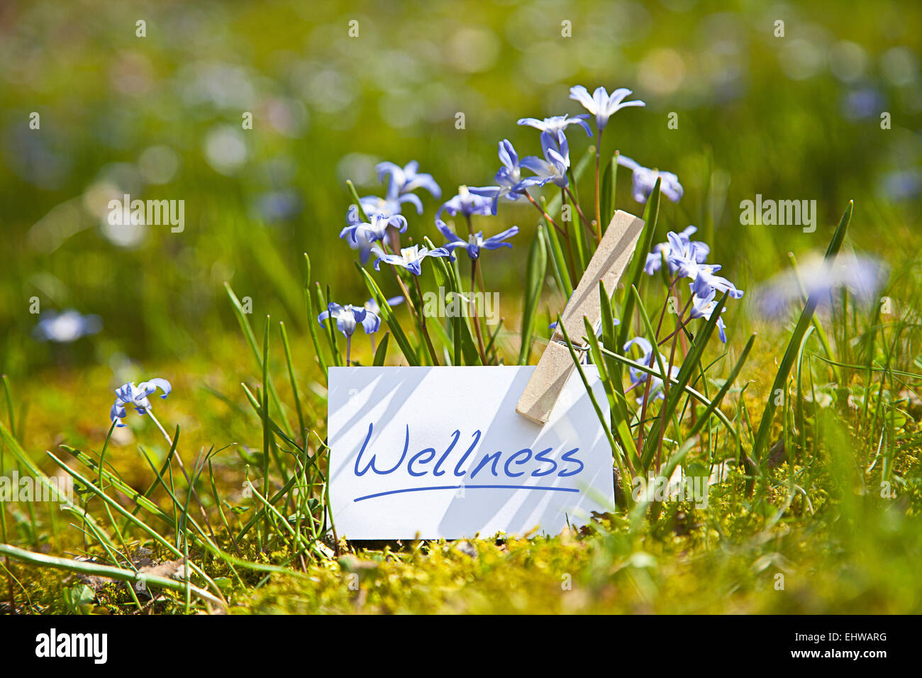„Wellness with spring flowers Stock Photo - Alamy