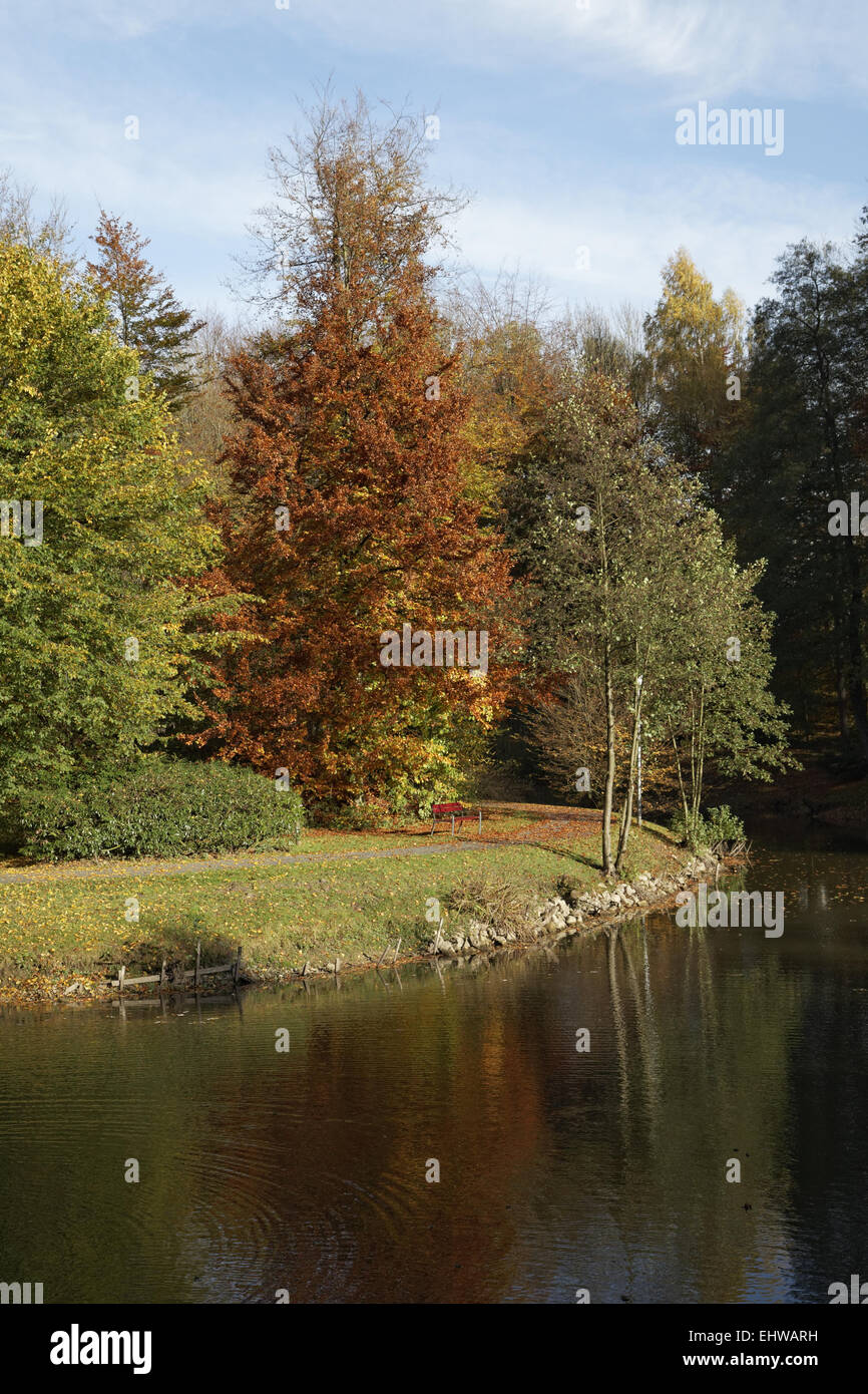Pond landscape in autumn, Bad Iburg, Germany Stock Photo - Alamy