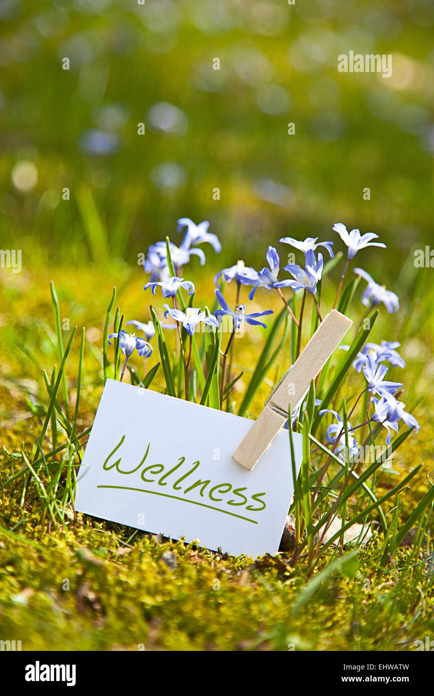 The word „Wellness with spring flowers Stock Photo - Alamy