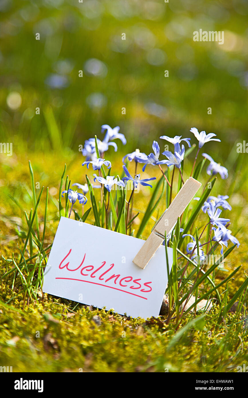 The word „Wellness with spring flowers Stock Photo - Alamy