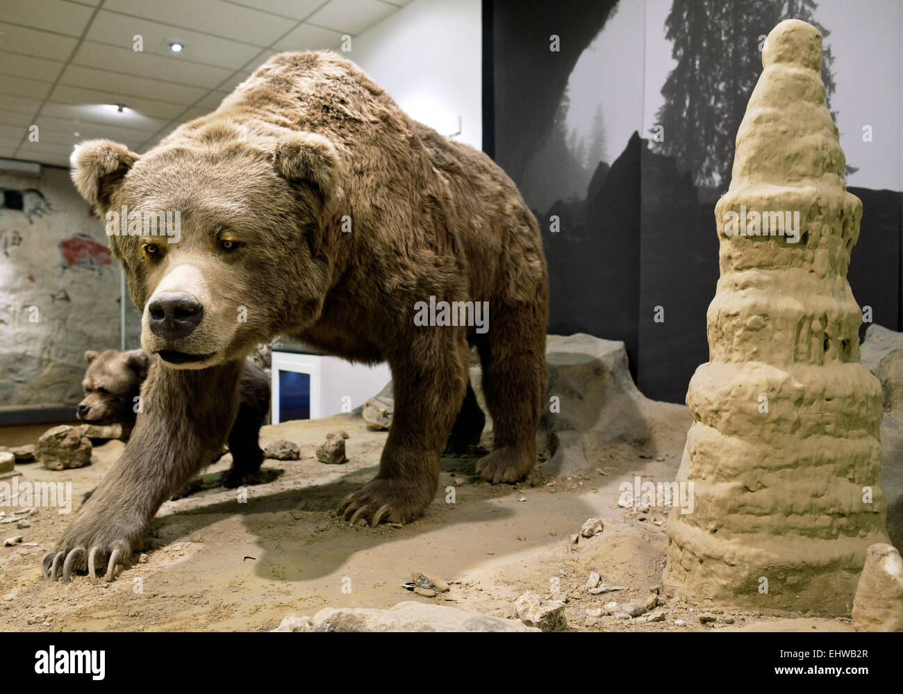 Cave Museum High Resolution Stock Photography and Images - Alamy