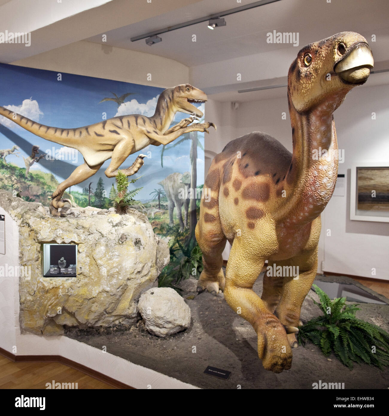 In the German Cave Museum in Iserlohn Stock Photo - Alamy