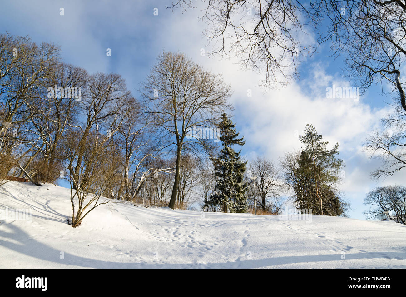 Sunny scenery in park hi-res stock photography and images - Alamy