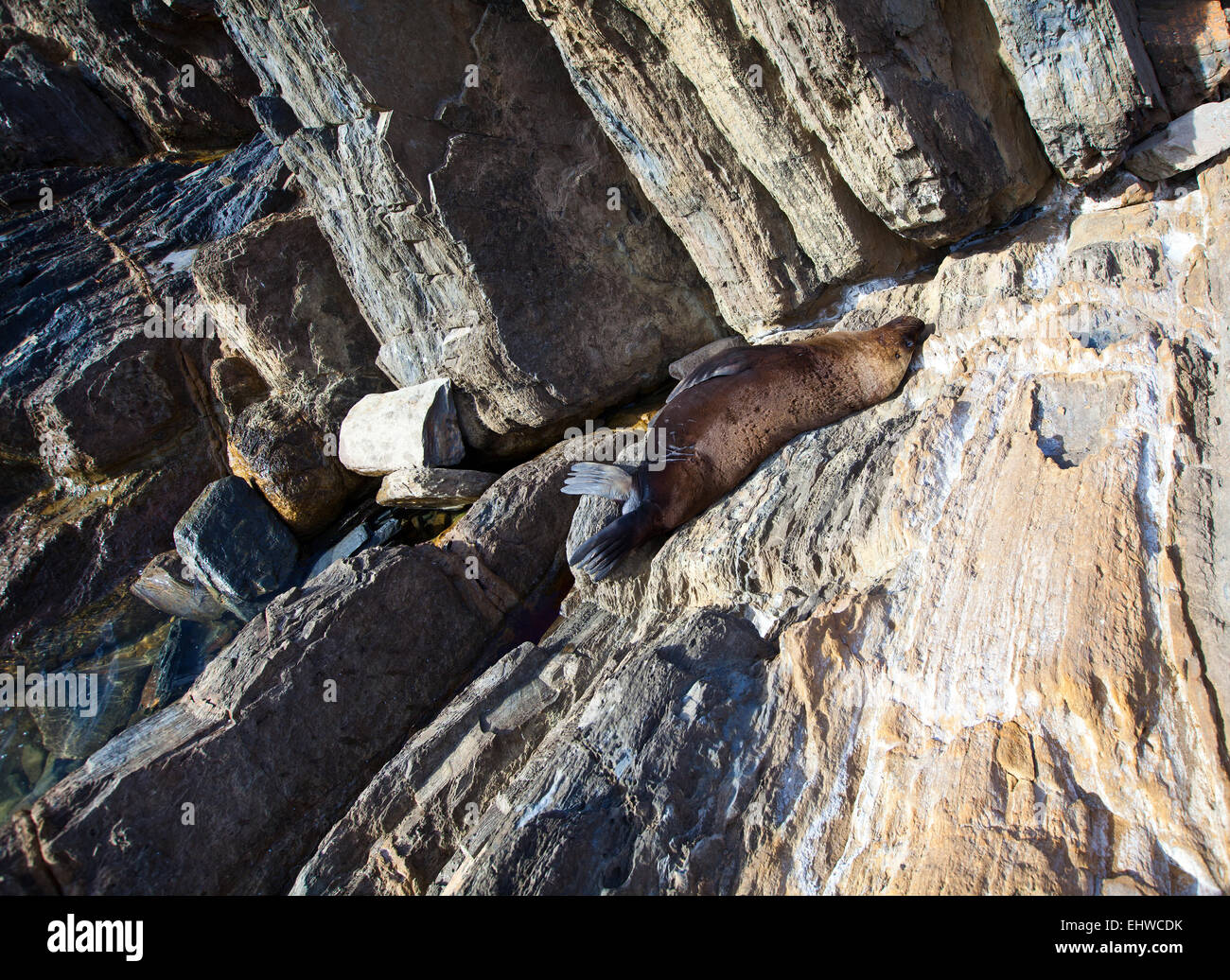 Myponga Beach High Resolution Stock Photography and Images - Alamy