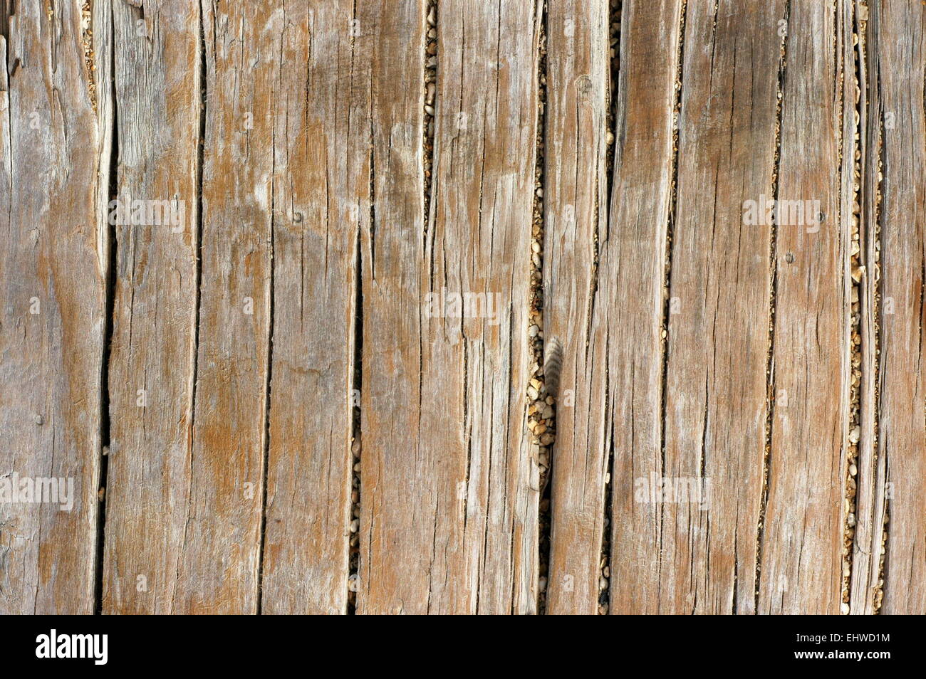 Abstract Background Texture Of Weathered Wood Near A Beach Stock Photo ...