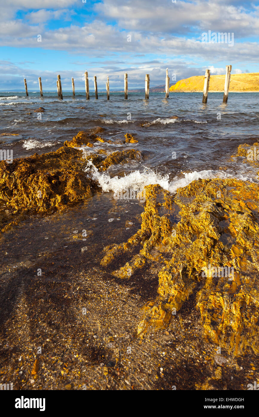 jetty ruins rocks coast coastal seascape seascapes coastline Myponga ...